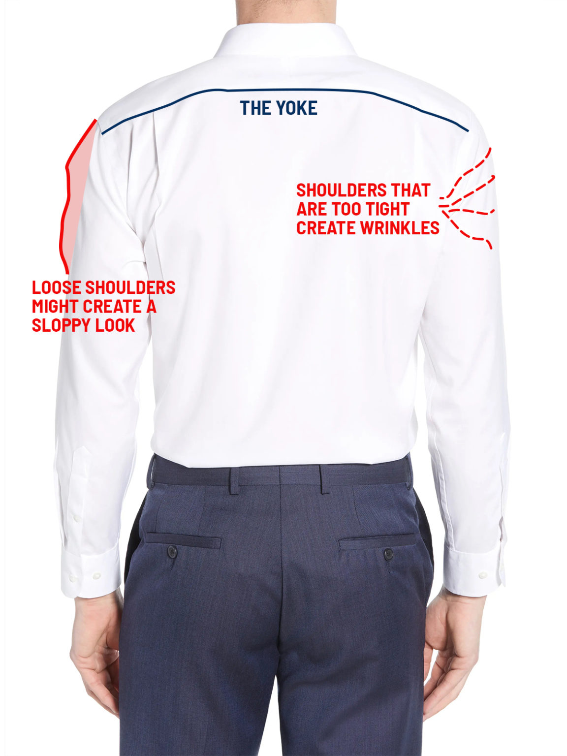 How Should a Dress Shirt Fit: Complete Guide